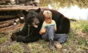 Famous Bears in Fact & Fiction – Gentle Ben to Grizzly Adams ...